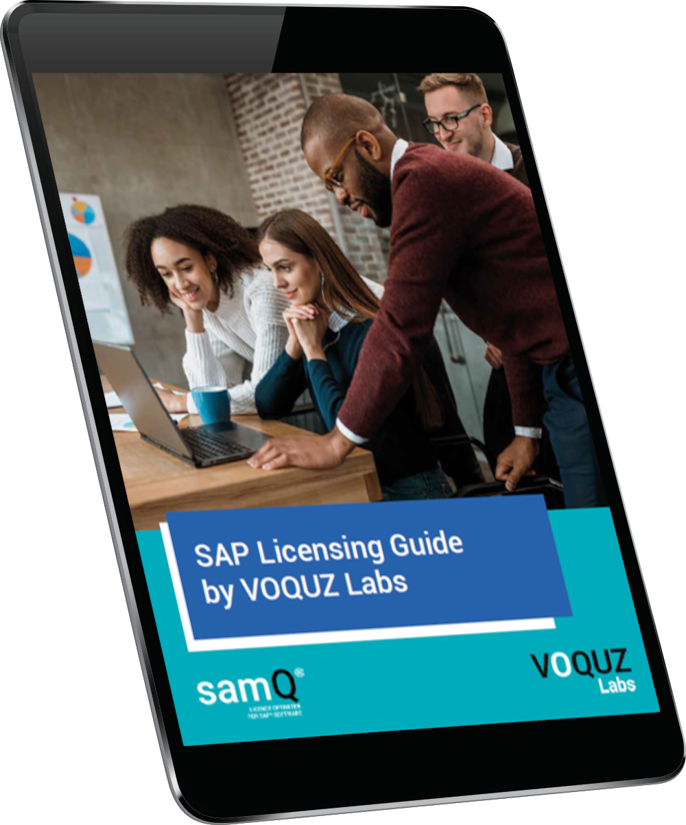 SAP Licensing